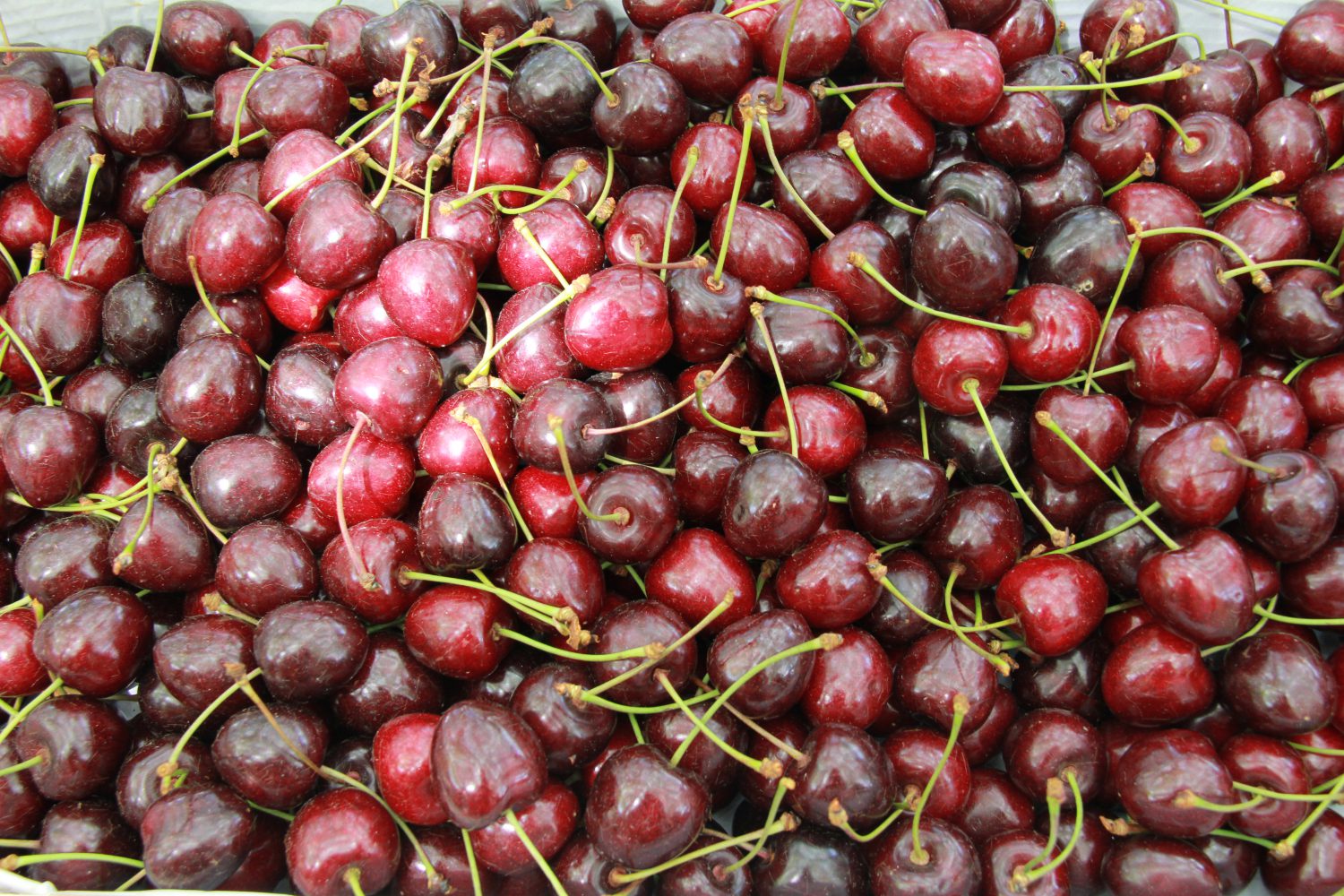 De Kersenboomgaard, Ariën Smorenburg - Erkend Streekproduct