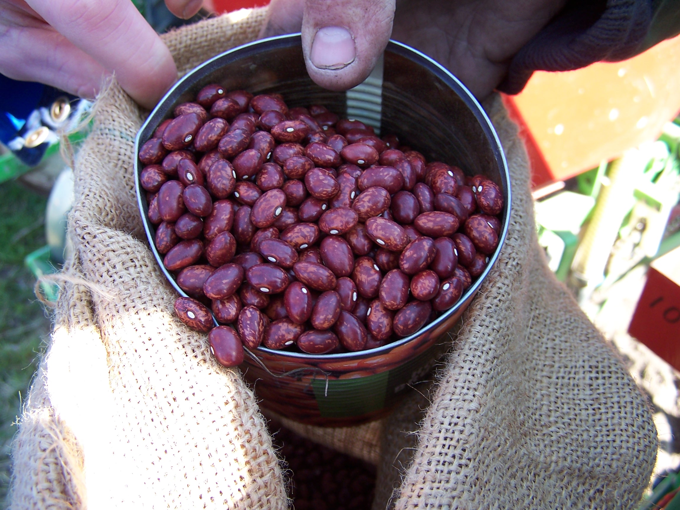 Reade Krobbe (Kleine Rode) - Erkend Streekproduct