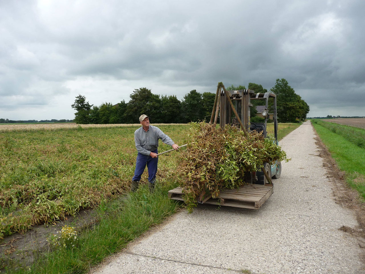 Teler Piet Hoekstra - Erkend Streekproduct